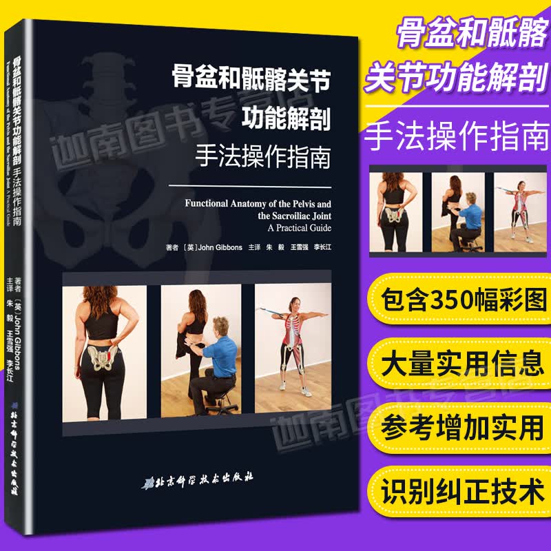 骨盆和骶髂关节功能解剖手法操作指南 [英] 约翰·吉本斯 著 解剖学彩色图谱