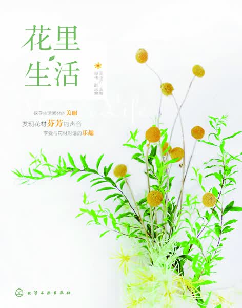 花里·生活 吴亚芹 主编