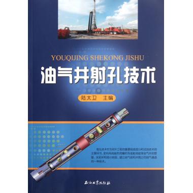油气井射孔技术
