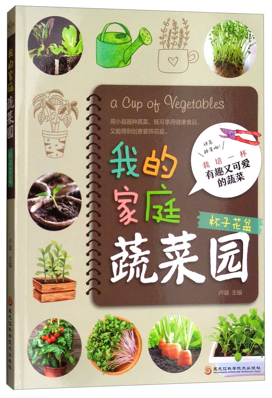 我的家庭蔬菜园：杯子花盆