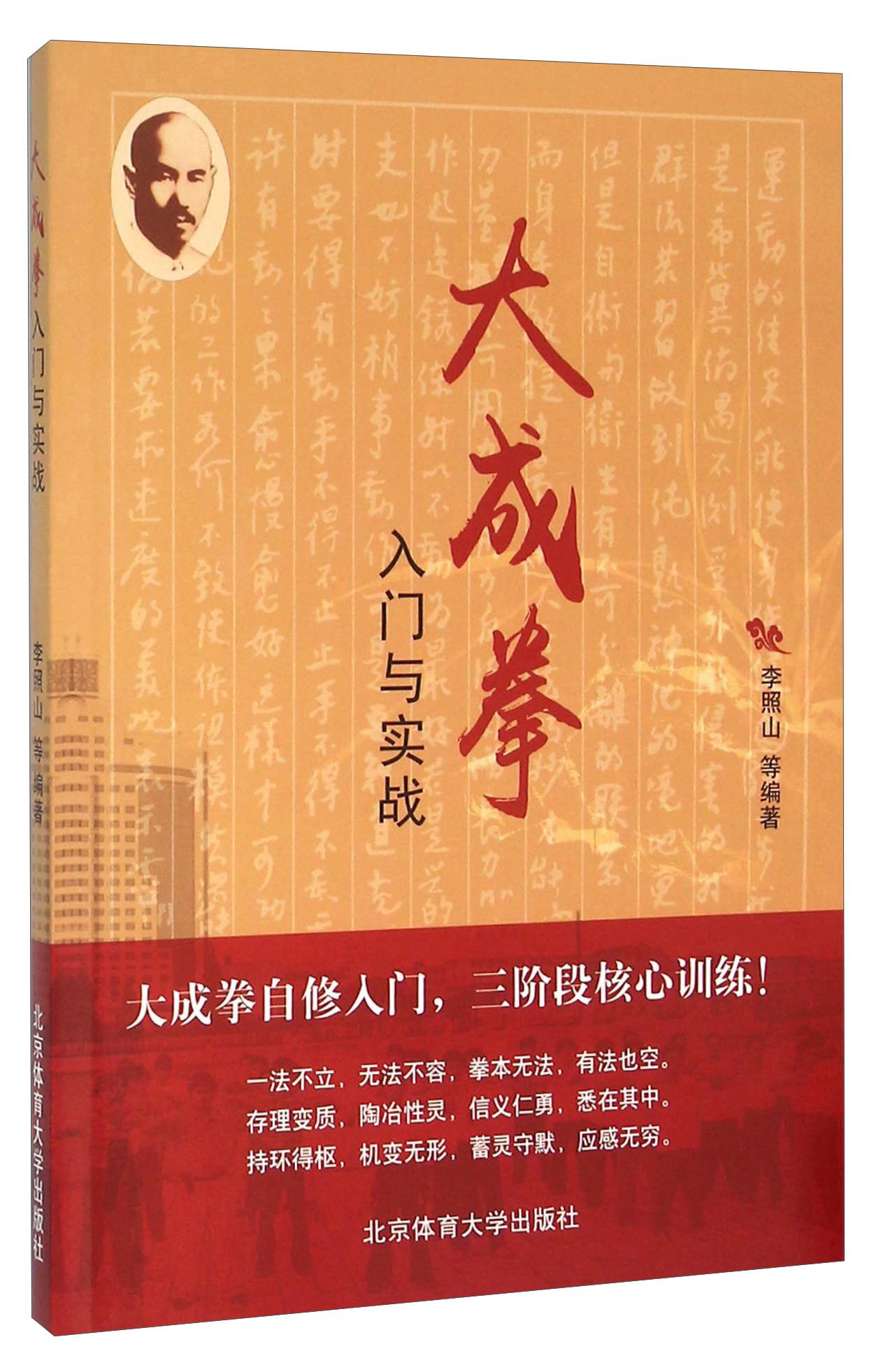大成拳入门与实战