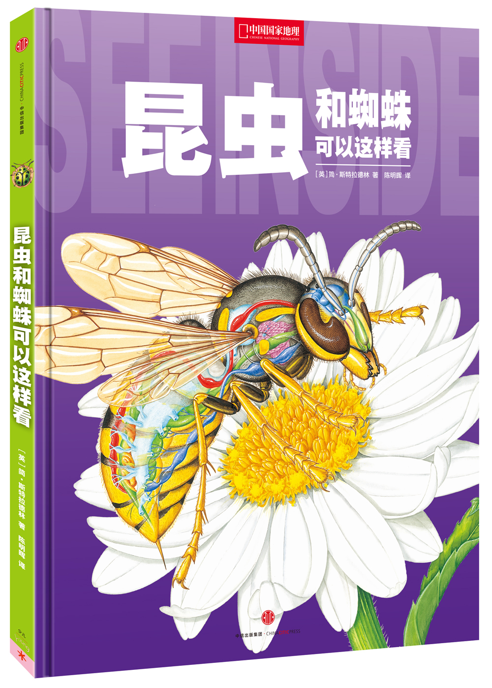 国家地理少儿系列 昆虫和蜘蛛可以这样看