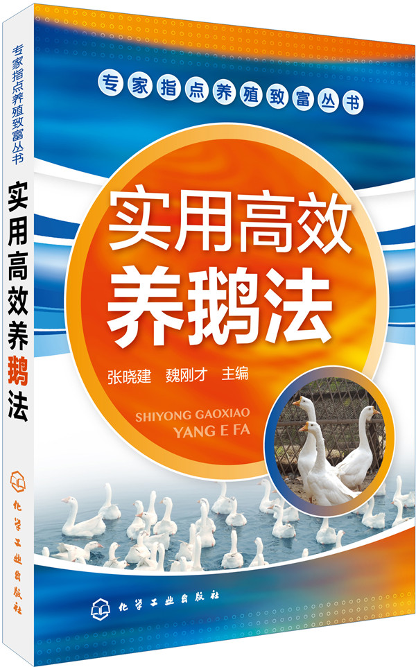 专家指点养殖致富丛书：实用高效养鹅法（实用）