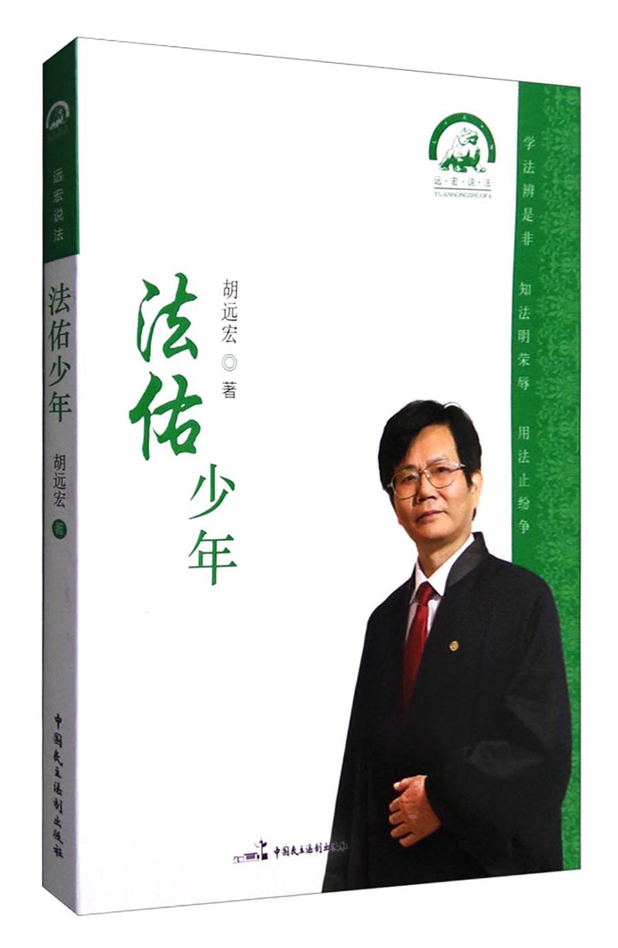 法佑少年