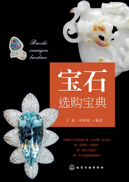 宝石选购宝典 王昶、申柯娅 编著