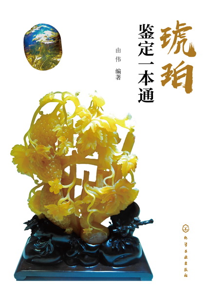 琥珀鉴定一本通 由伟 编著