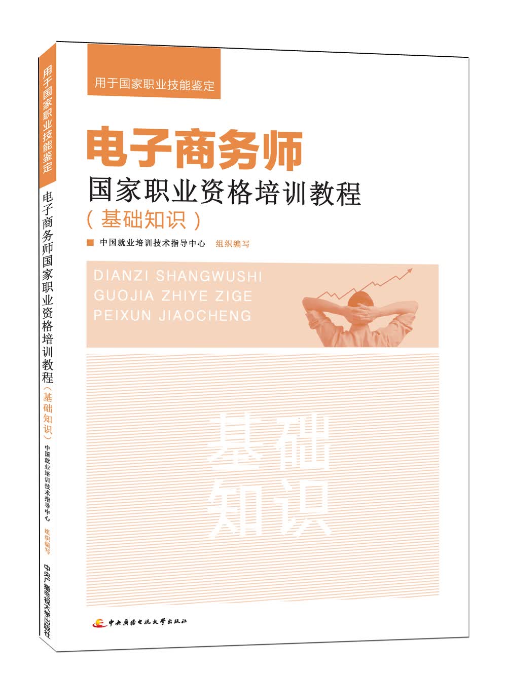 电子商务师国家职业资格培训教程：基础知识