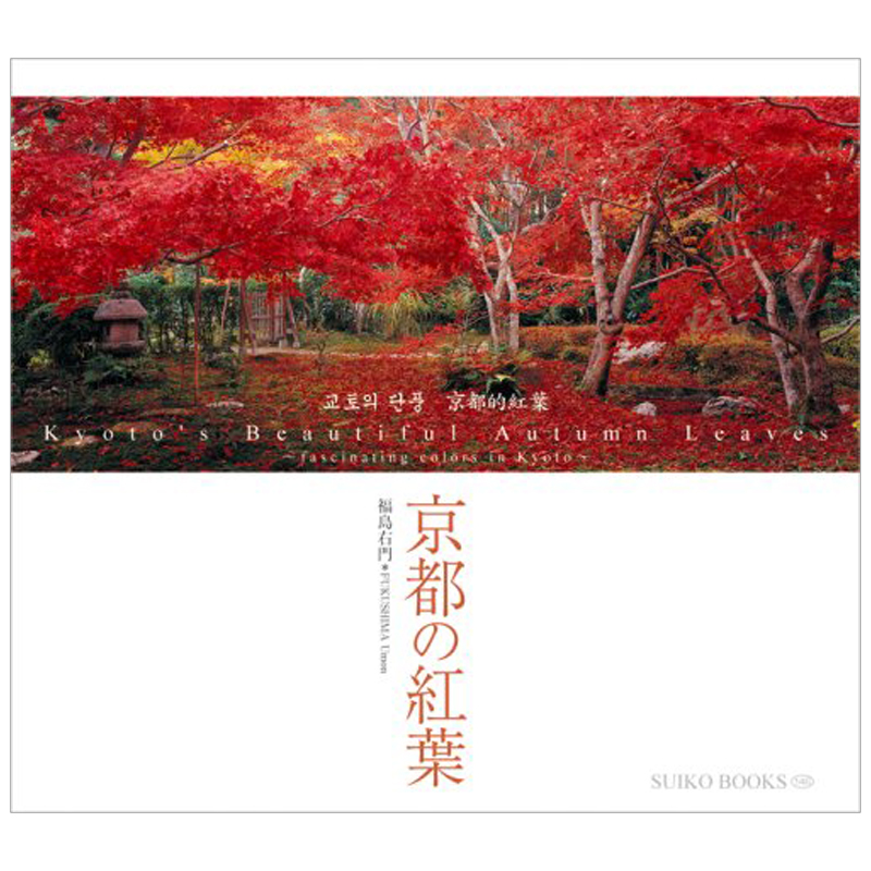 京都の紅葉 京都的红叶 风景景色旅游观光日文原版日版日本日本图书书籍善本图书