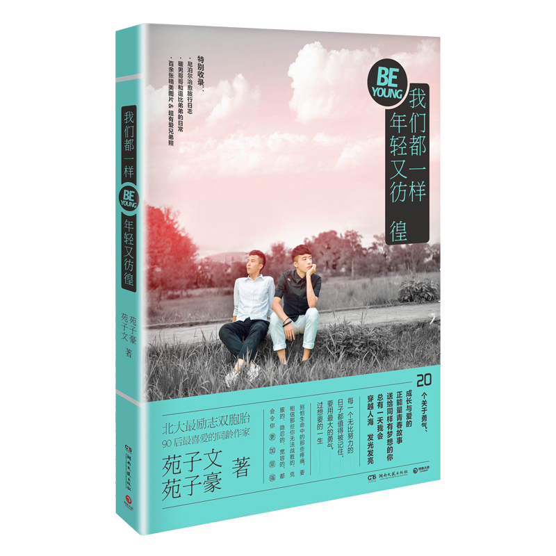 我们都一样.年轻又彷徨 励志与成功 书籍