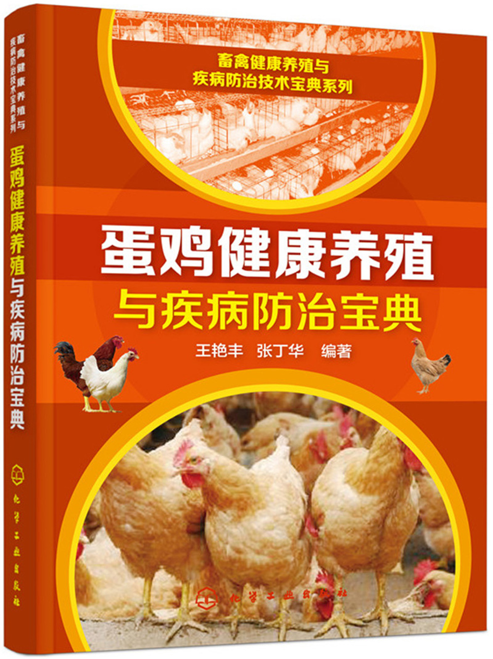 蛋鸡健康养殖与疾病防治宝典