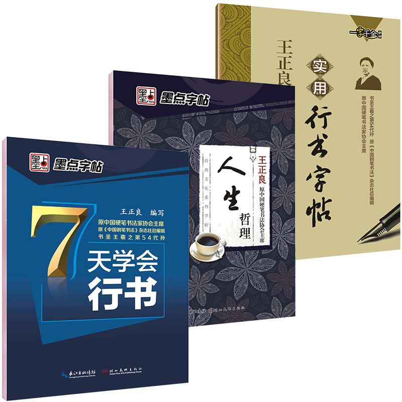 墨点字帖 绝版行书套装：行书钢笔字帖7天学会行书+人生哲理+实用行书（套装共3本）