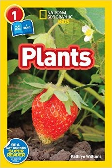 NGR PLANTS 进口儿童绘本
