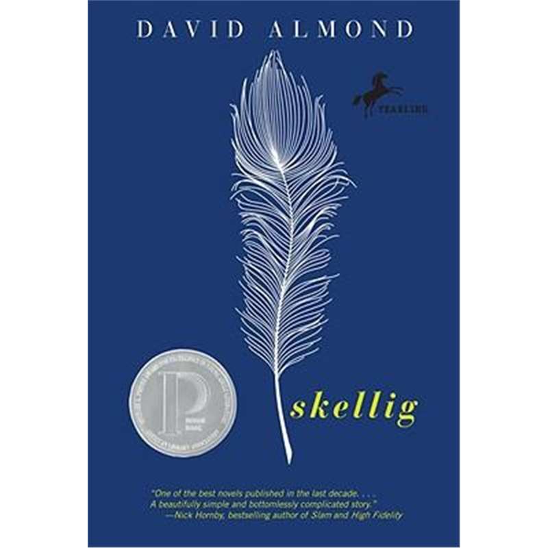 Skellig 当天使坠落人间 David Almond 戴维阿蒙德 英文原版书 2000年普林兹奖 青少年小说中小学生课外兴趣阅