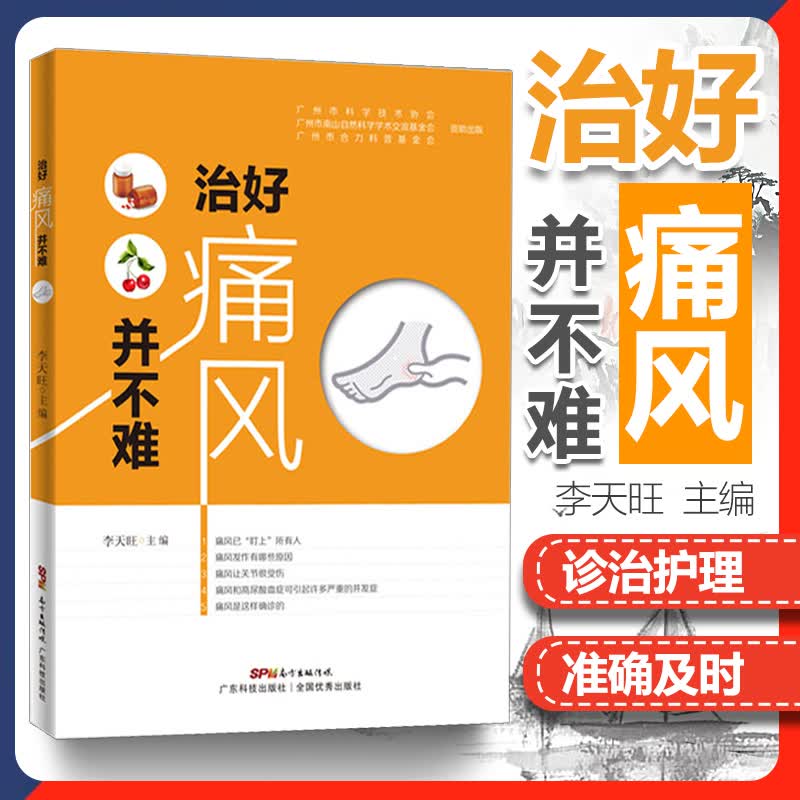 治好痛风并不难 痛风书籍家庭医生痛风药/茶 饮食食谱书保健养生/饮食/预防 李天旺主编