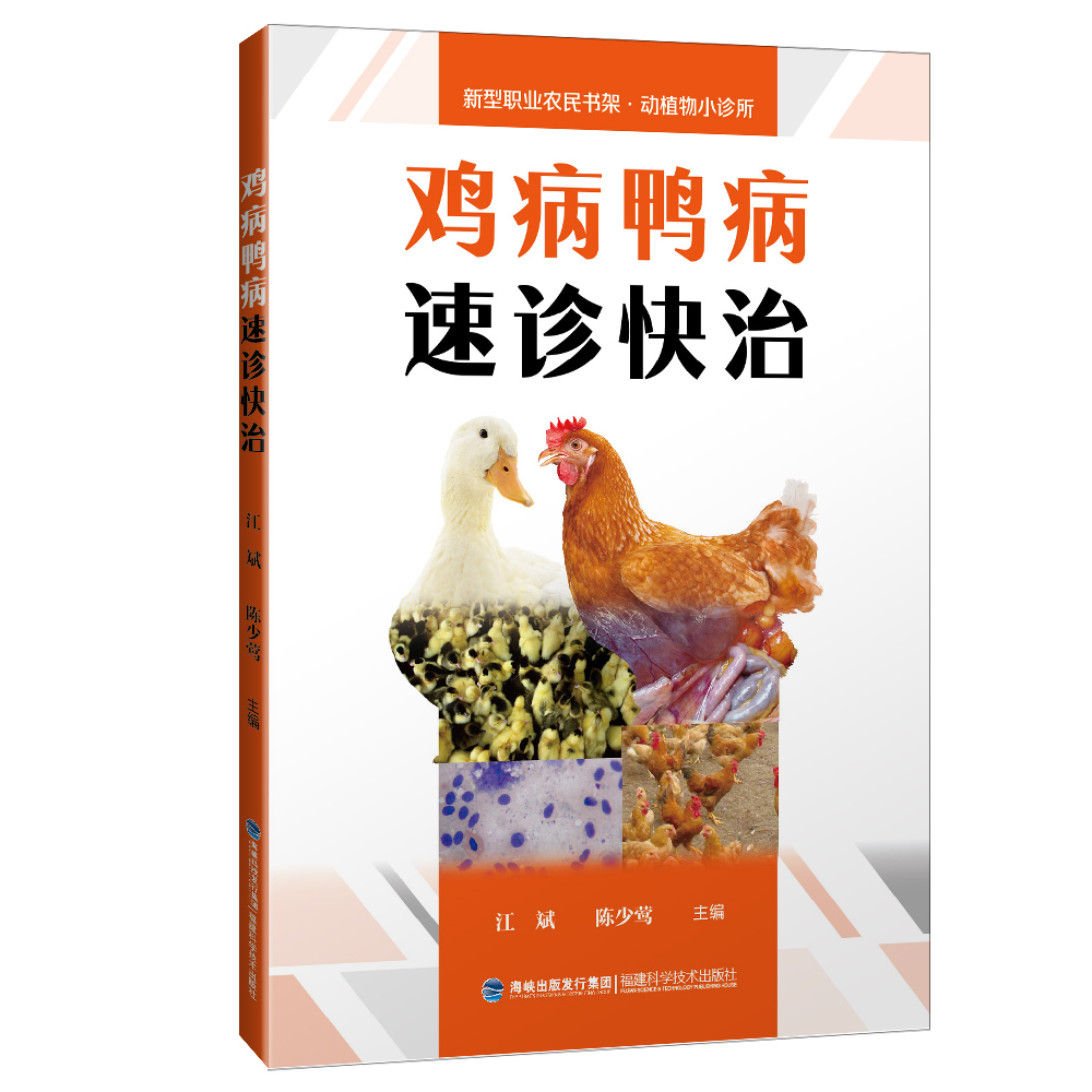 新型职业农民书架·动植物小诊所：鸡病鸭病速诊快治