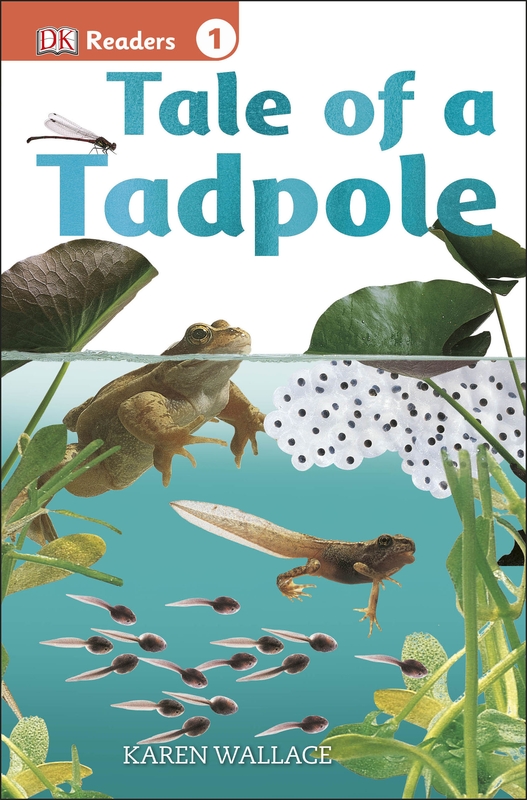 DK Readers L1: Tale of a Tadpole 英文原版