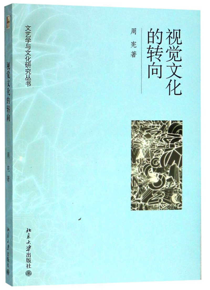 视觉文化的转向/文艺学与文化研究丛书