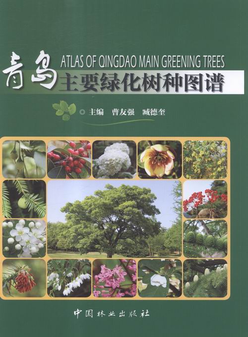青岛主要绿化树种图谱 科普读物 曹友强，臧德奎主编 中国林业出版社 9787503881275