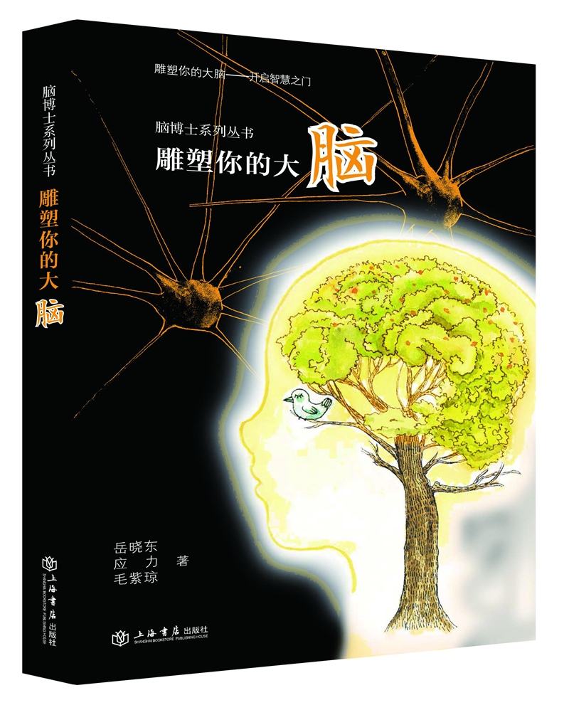 雕塑你的大脑
