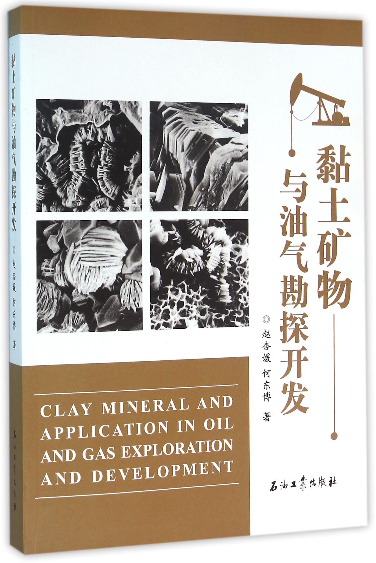 黏土矿物与油气勘探开发