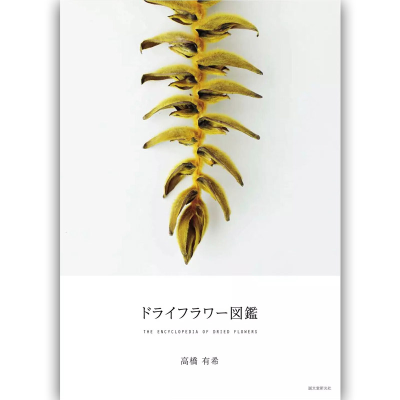 干花图鉴 図鑑仿真花束 制作风干后的各式花束 日文原版日版日本图书籍善本图书