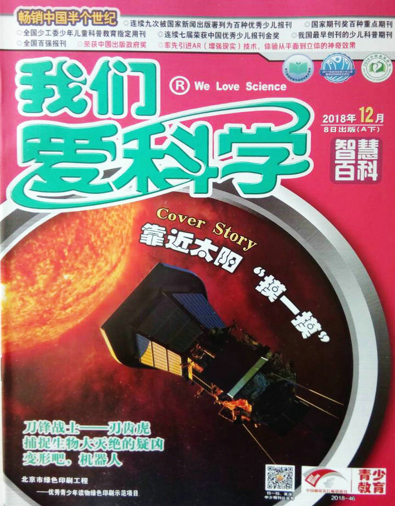 我们爱科学少年版（魅力科学+智慧百科）2018年12月号