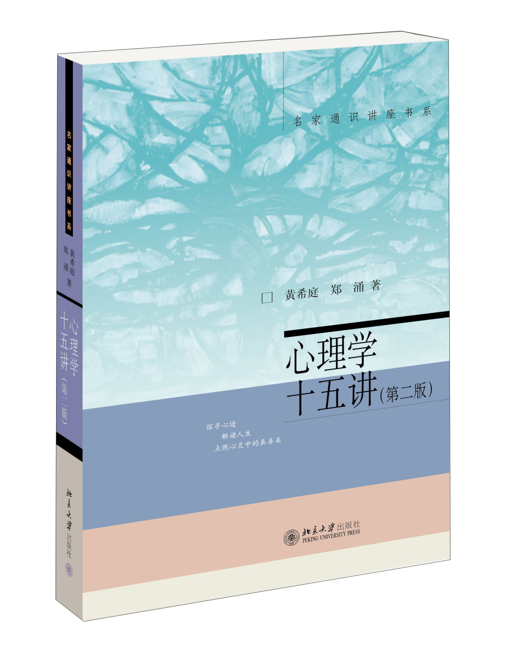 名家通识讲座书系：心理学十五讲（第二版）