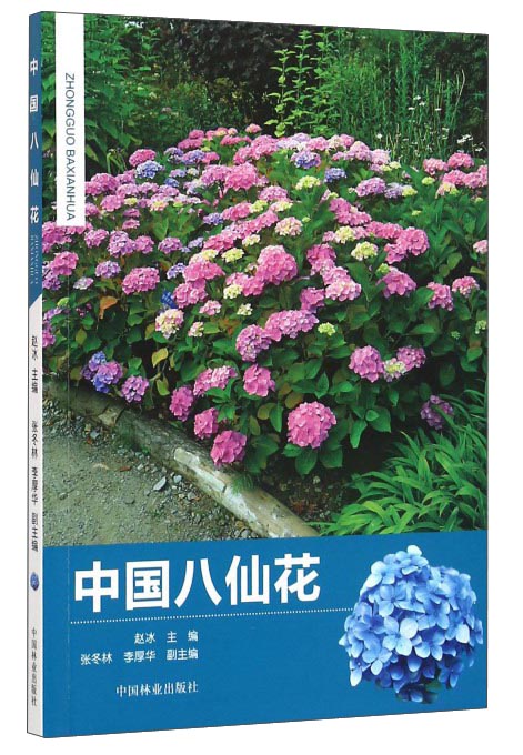 中国八仙花