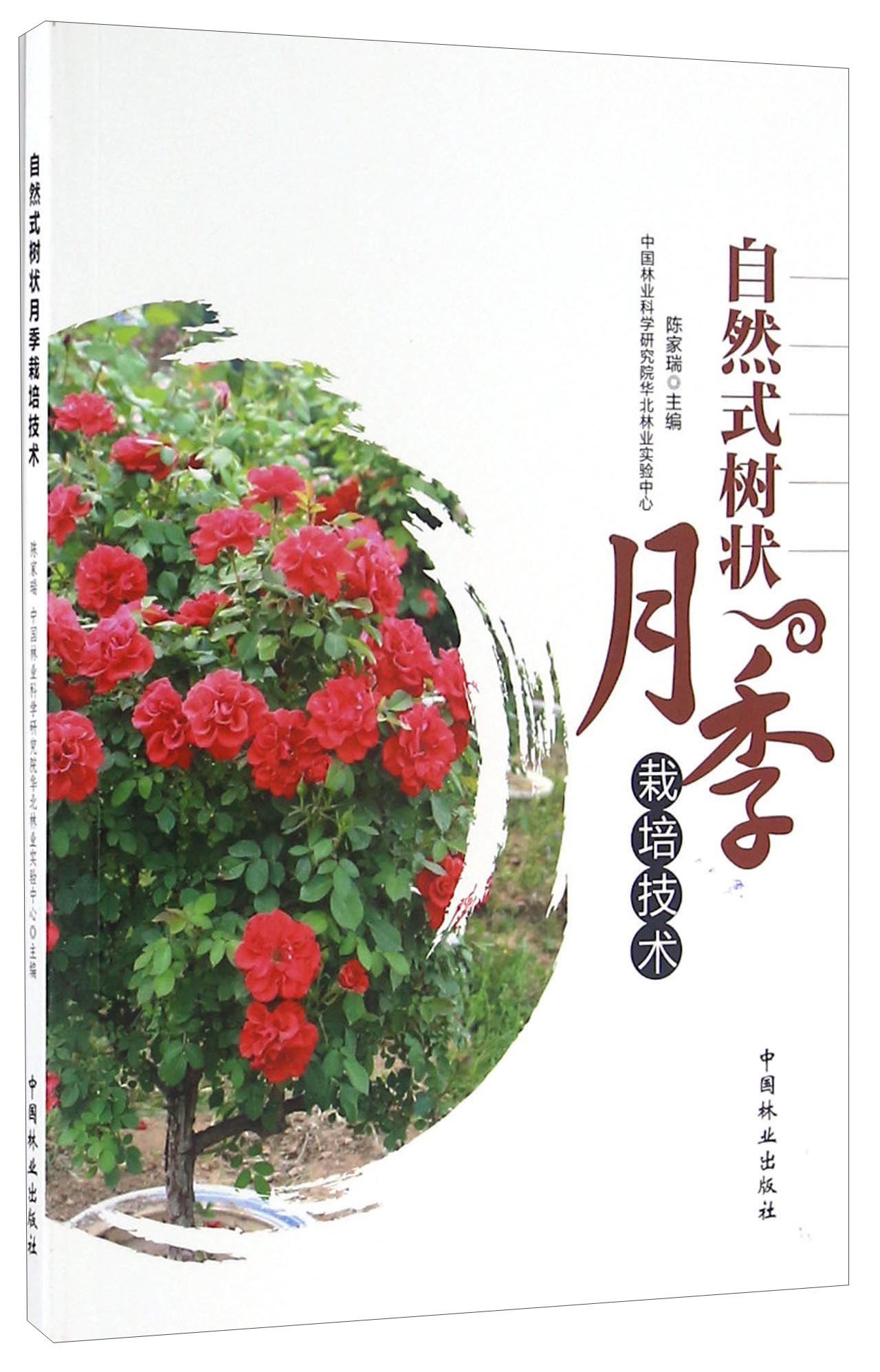自然式树状月季栽培技术