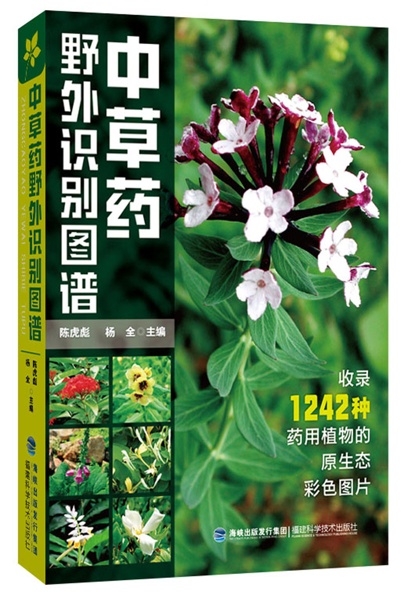 中草药野外识别图谱
