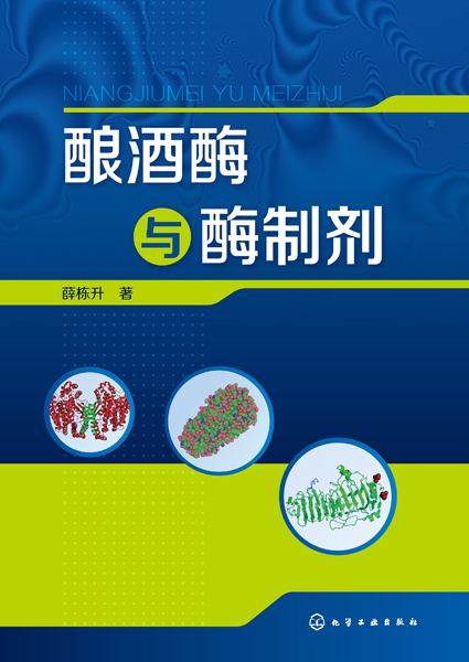 酿酒酶与酶制剂 薛栋升 著