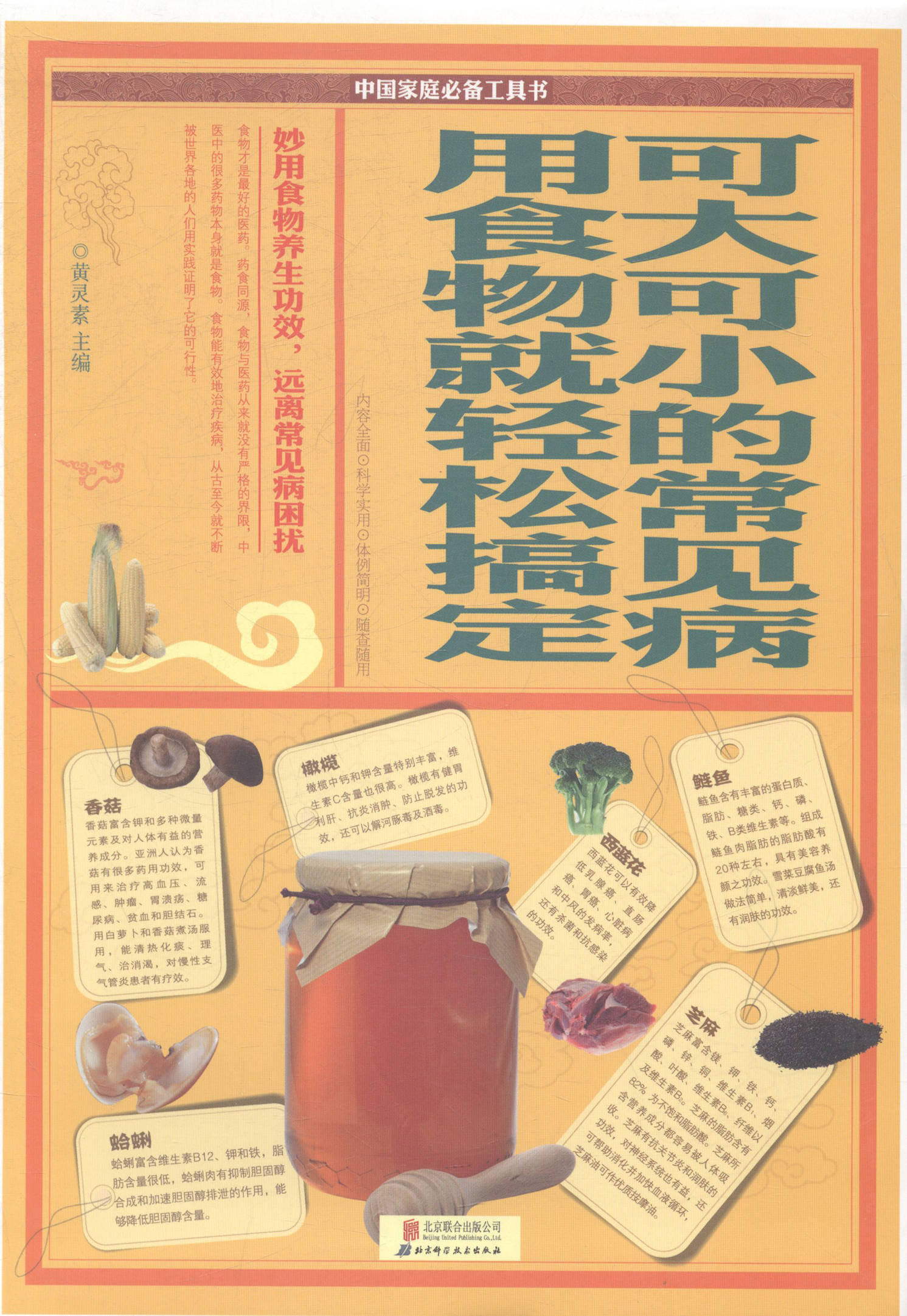 可大可小的常见病用食物就轻松搞定 烹饪/美食 书籍