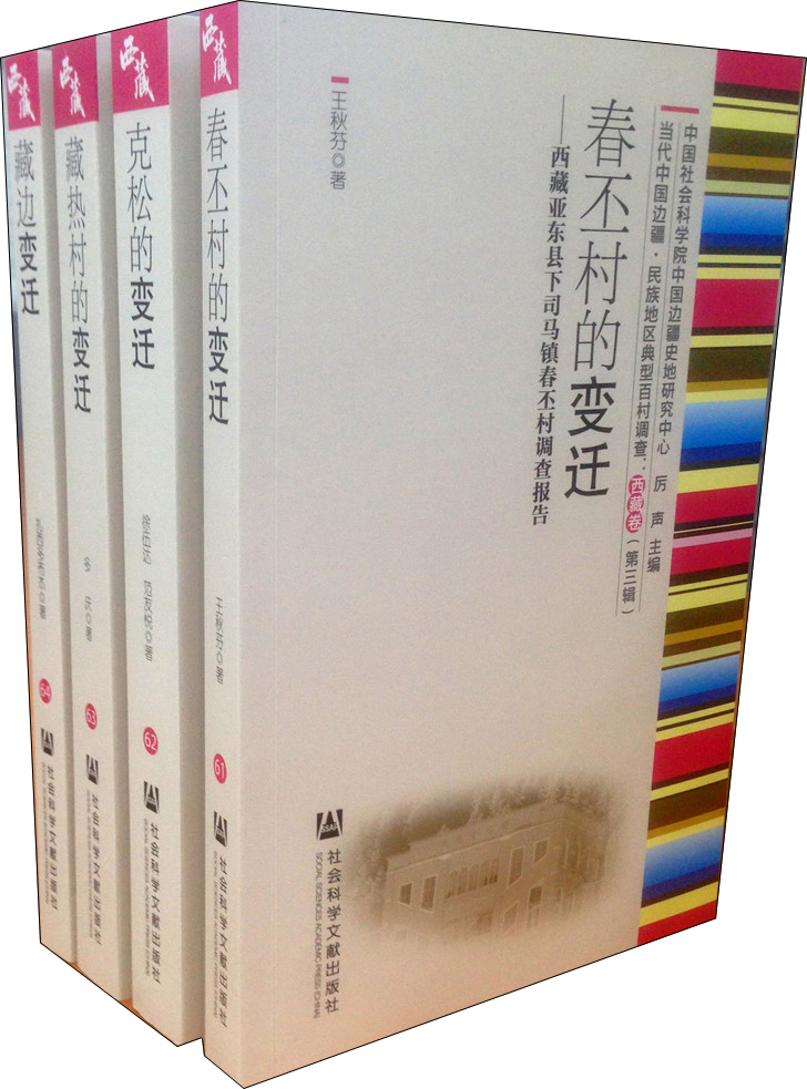 当代中国边疆·民族地区典型百村调查：西藏卷（第三辑 套装共4册）