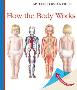 HOW THE BODY WORKS
