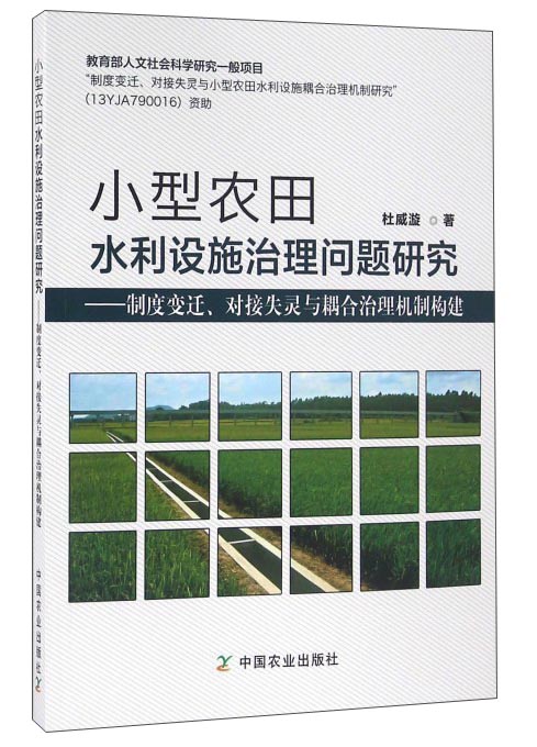 小型农田水利设施治理问题研究：制度变迁、对接失灵与耦合治理机制构建