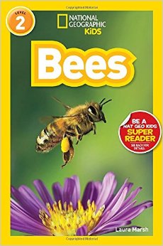 NGR BEES 进口儿童绘本