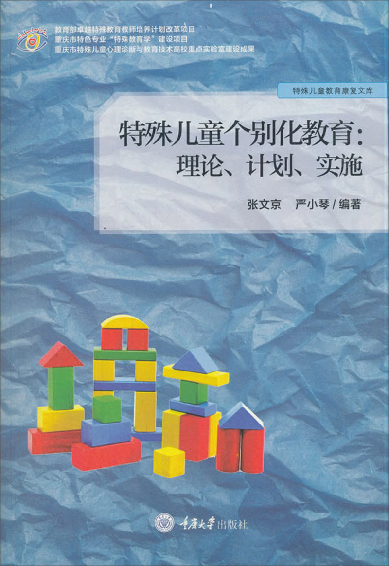 特殊儿童个别化教育：理论、计划、实施