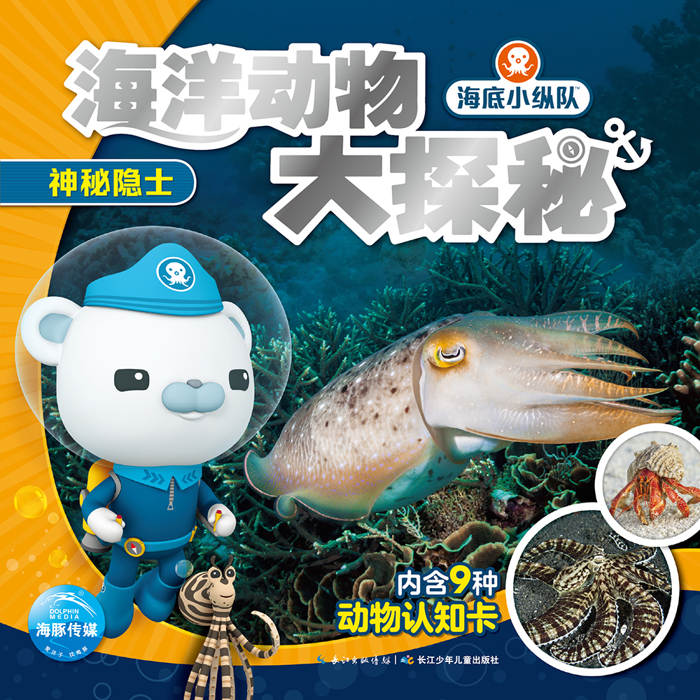 海底小纵队海洋动物大探秘神秘隐士