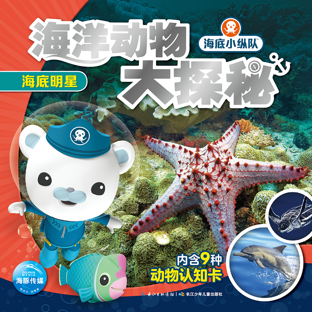 海底小纵队海洋动物大探秘海底明星