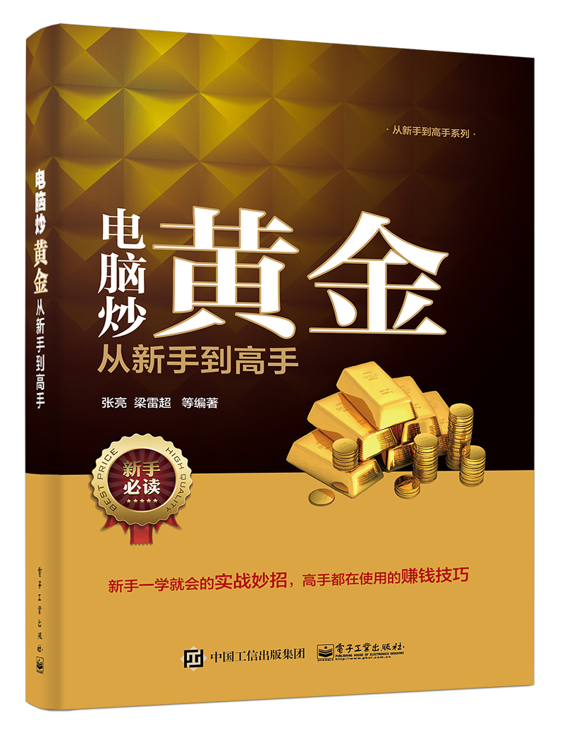 电脑炒黄金从新手到高手(博文视点出品)