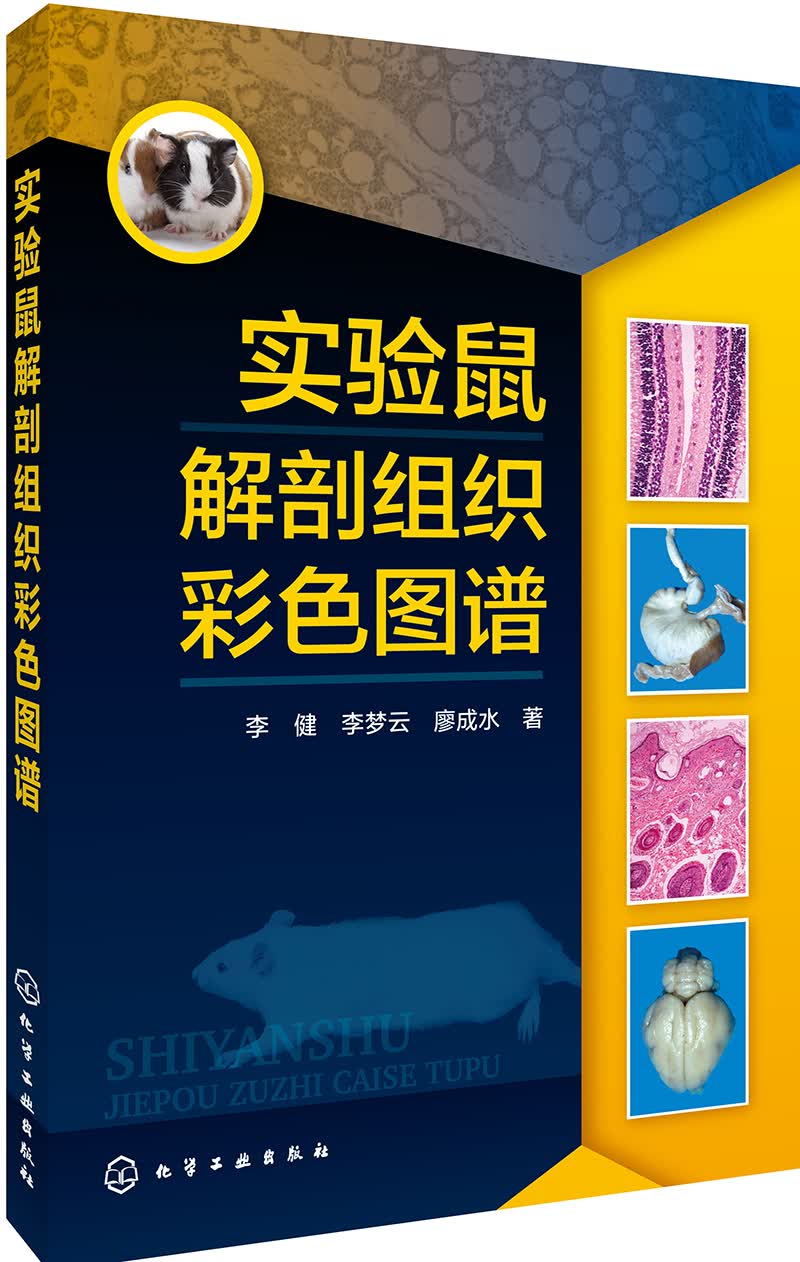 实验鼠解剖组织彩色图谱