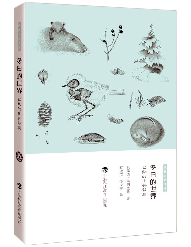 冬日的世界：动物的生存智慧