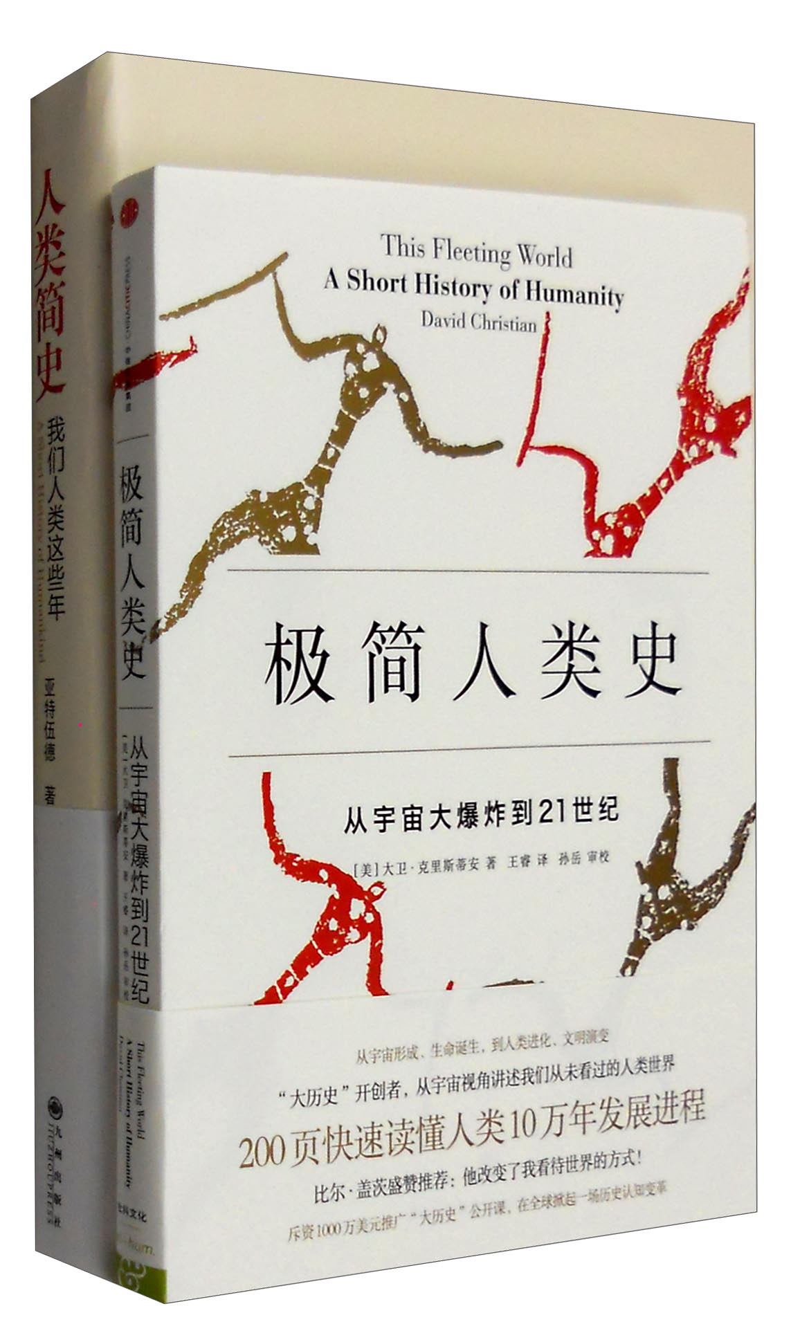 家庭阅读系列：极简人类史+人类简史（套装2册）