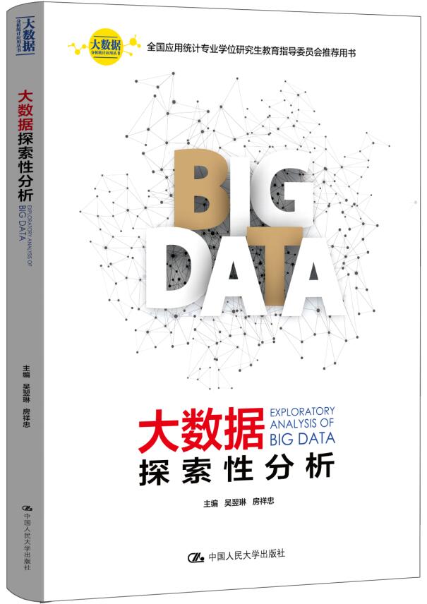 大数据探索性分析（大数据分析统计应用丛书）
