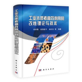 工业木质素高效利用的改性理论与技术