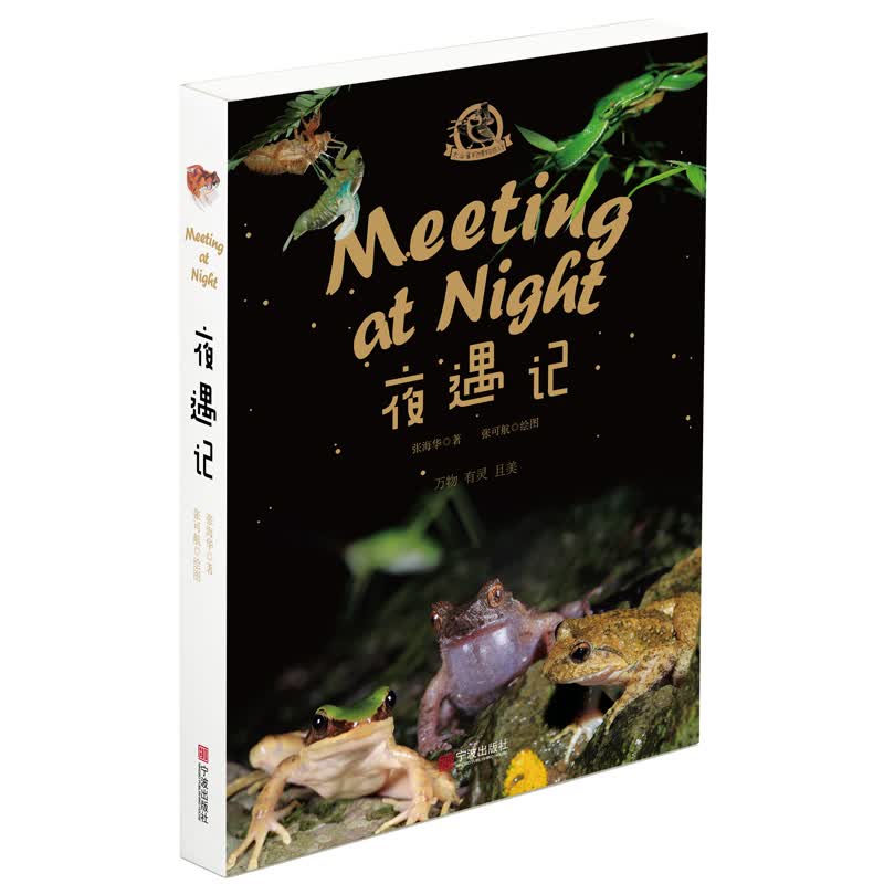 夜遇记