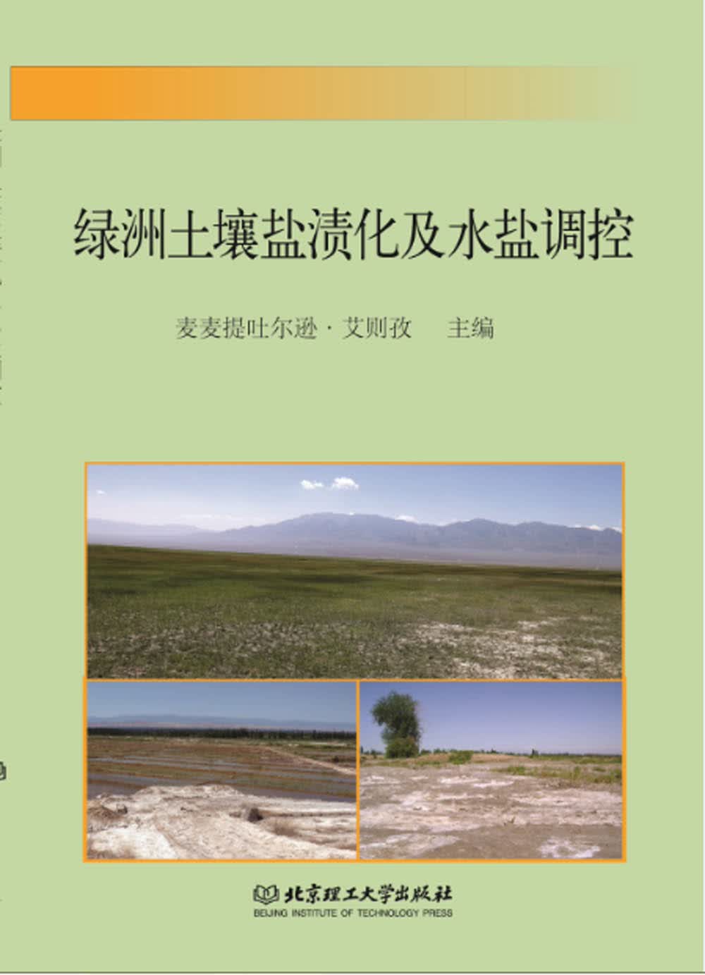 绿洲土壤盐渍化及水盐调控
