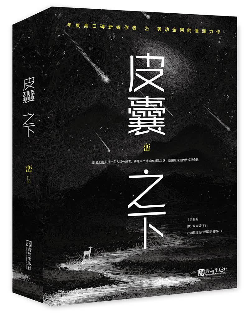 皮囊之下（上下）