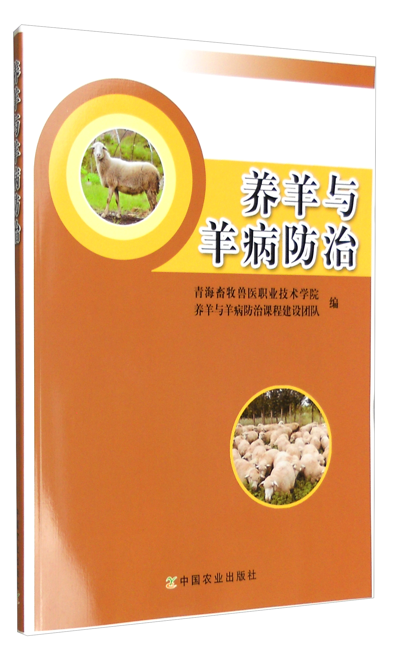 养羊与羊病防治