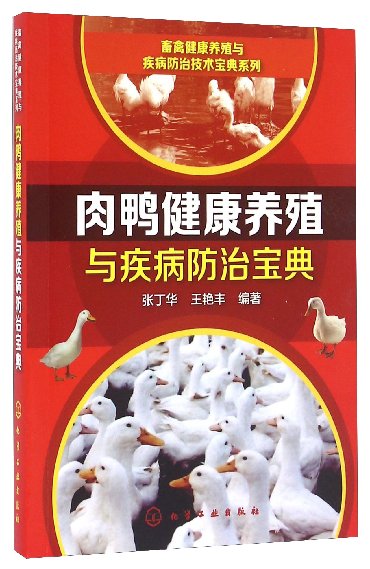 肉鸭健康养殖与疾病防治宝典